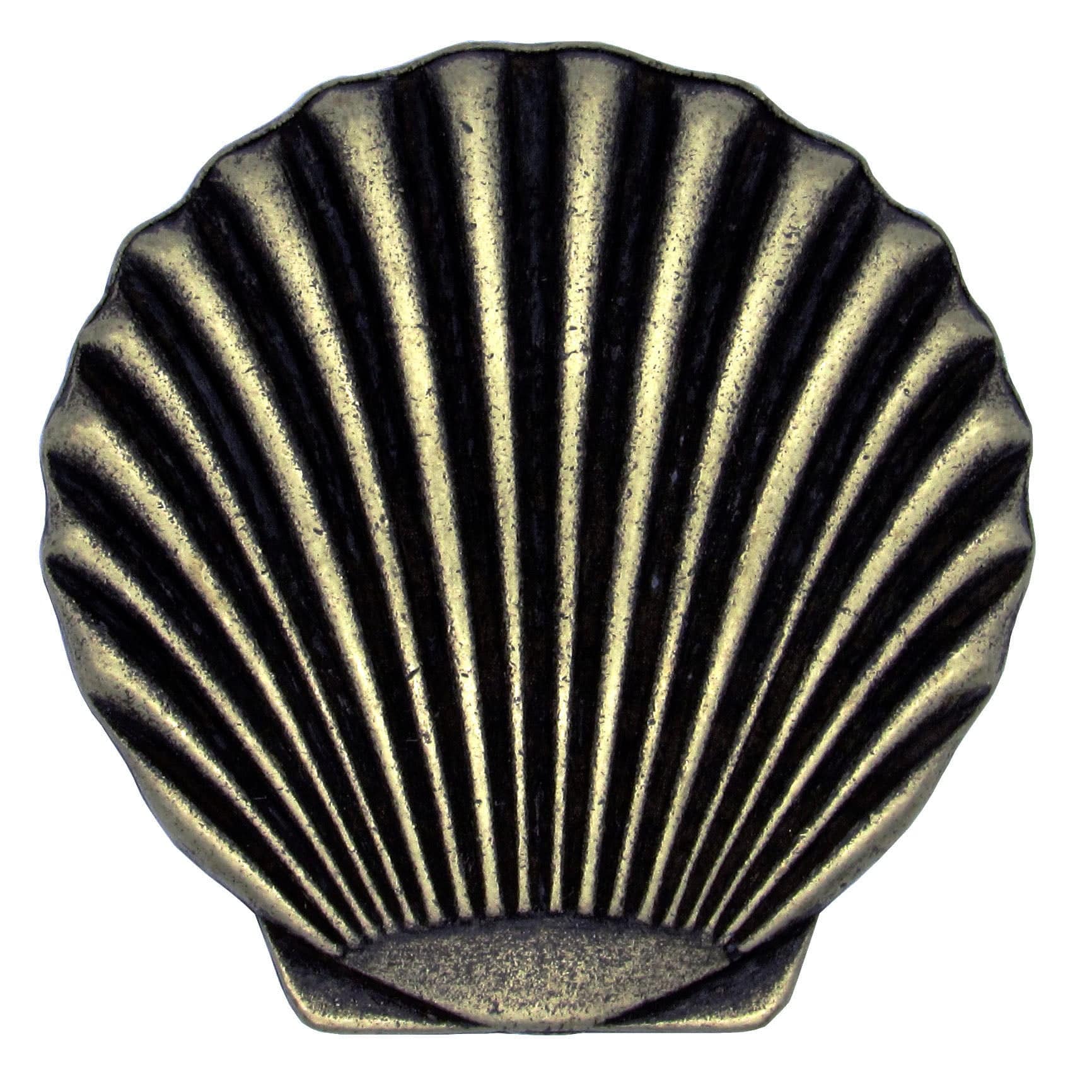 Scallop Seashell Knob, Brass Oxide - Automotive, Power, and Hand Tools ...